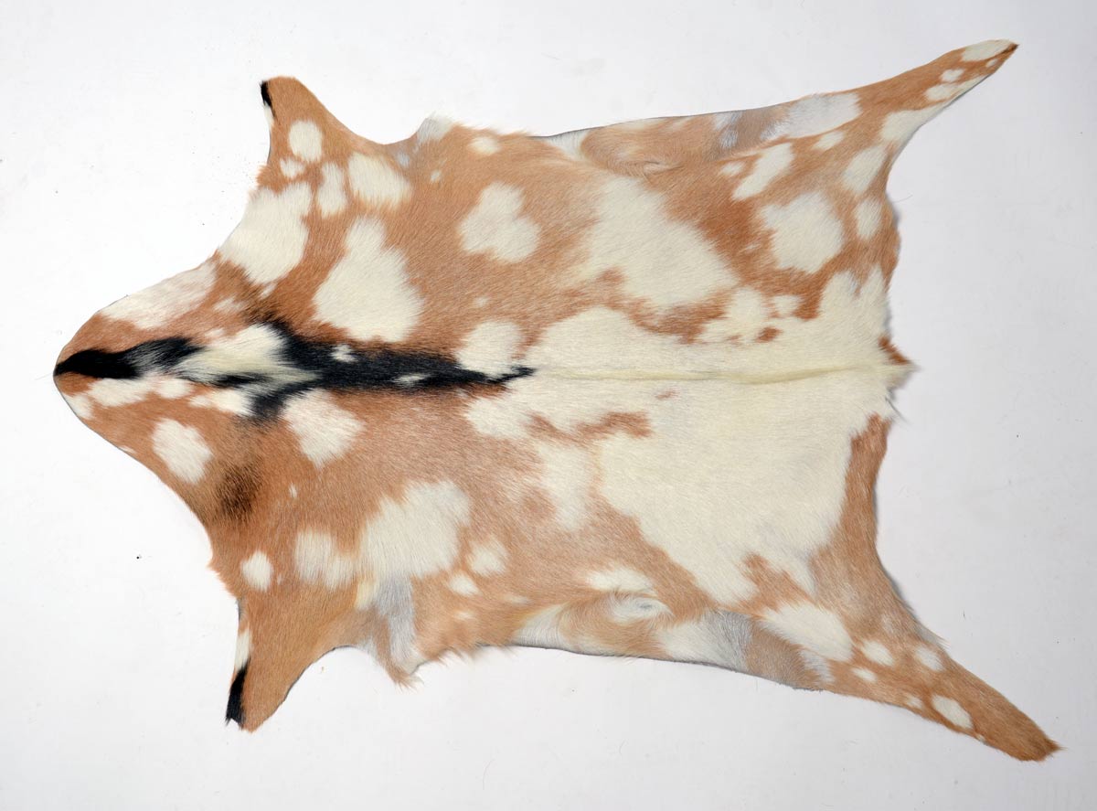 021 Goat Skin Rugs | Tan Goat Rugs NZ | Goat Skin Australia — Gorgeous ...