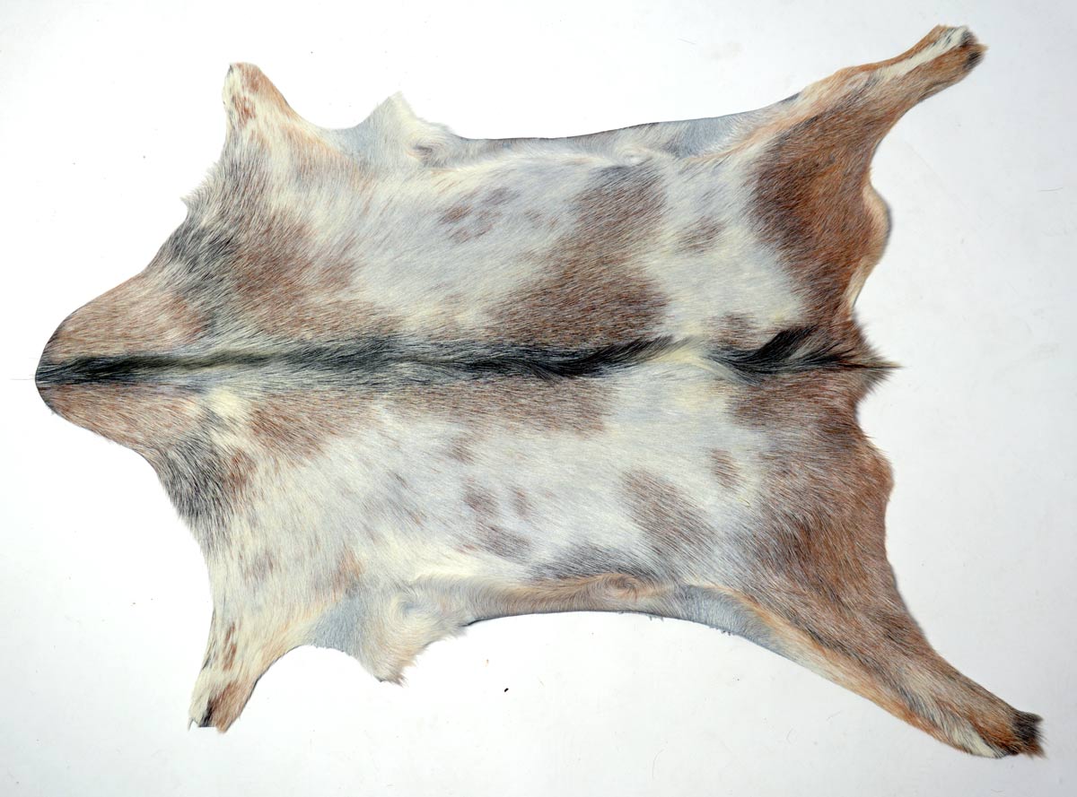 022 Goat Skin Rugs | Beige Goat Rugs NZ — Gorgeous Creatures