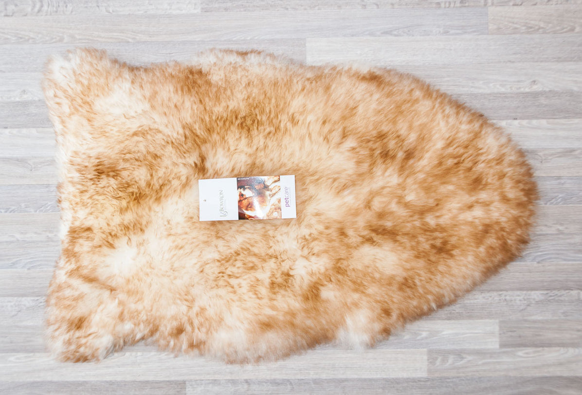 Large Sheepskin Pet Rug | Warm Wool Dog Beds NZ — Gorgeous Creatures